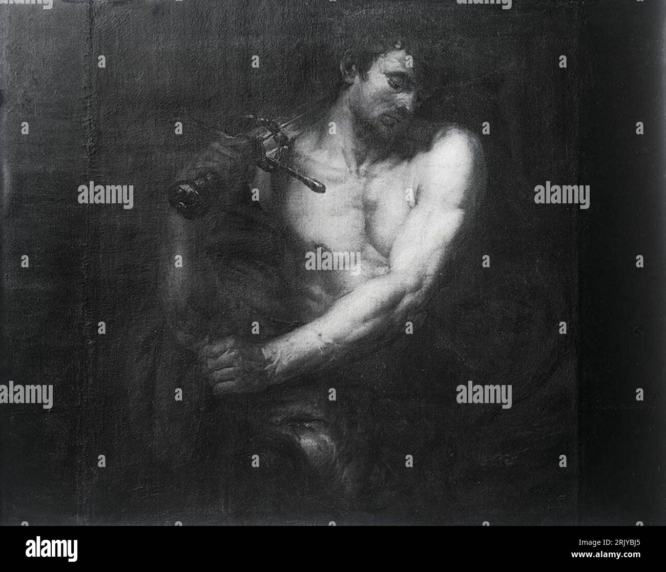 Haupt goliaths hi-res stock photography and images - Alamy