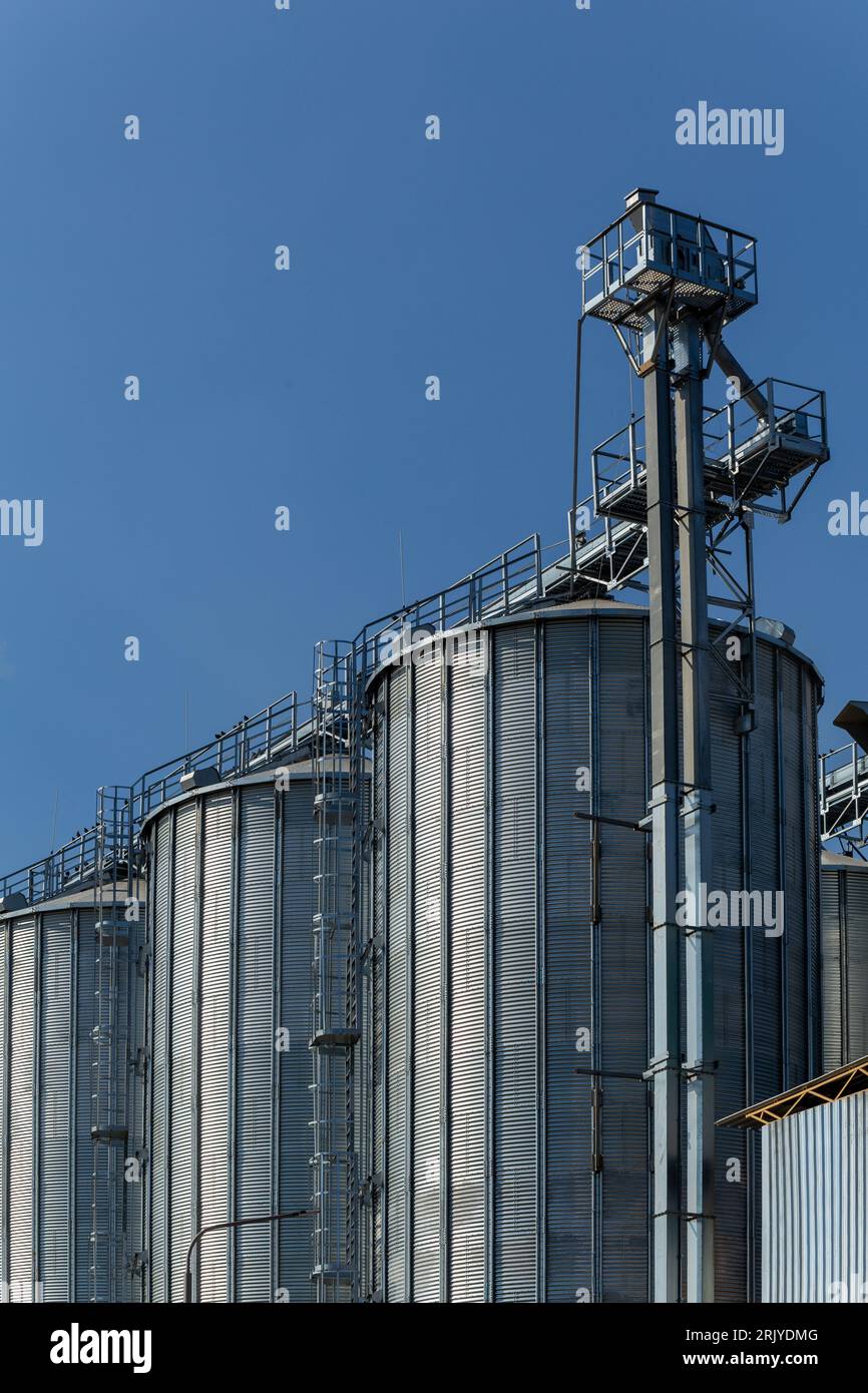 Modern Granary elevator and seed cleaning line. Silver silos on agro ...