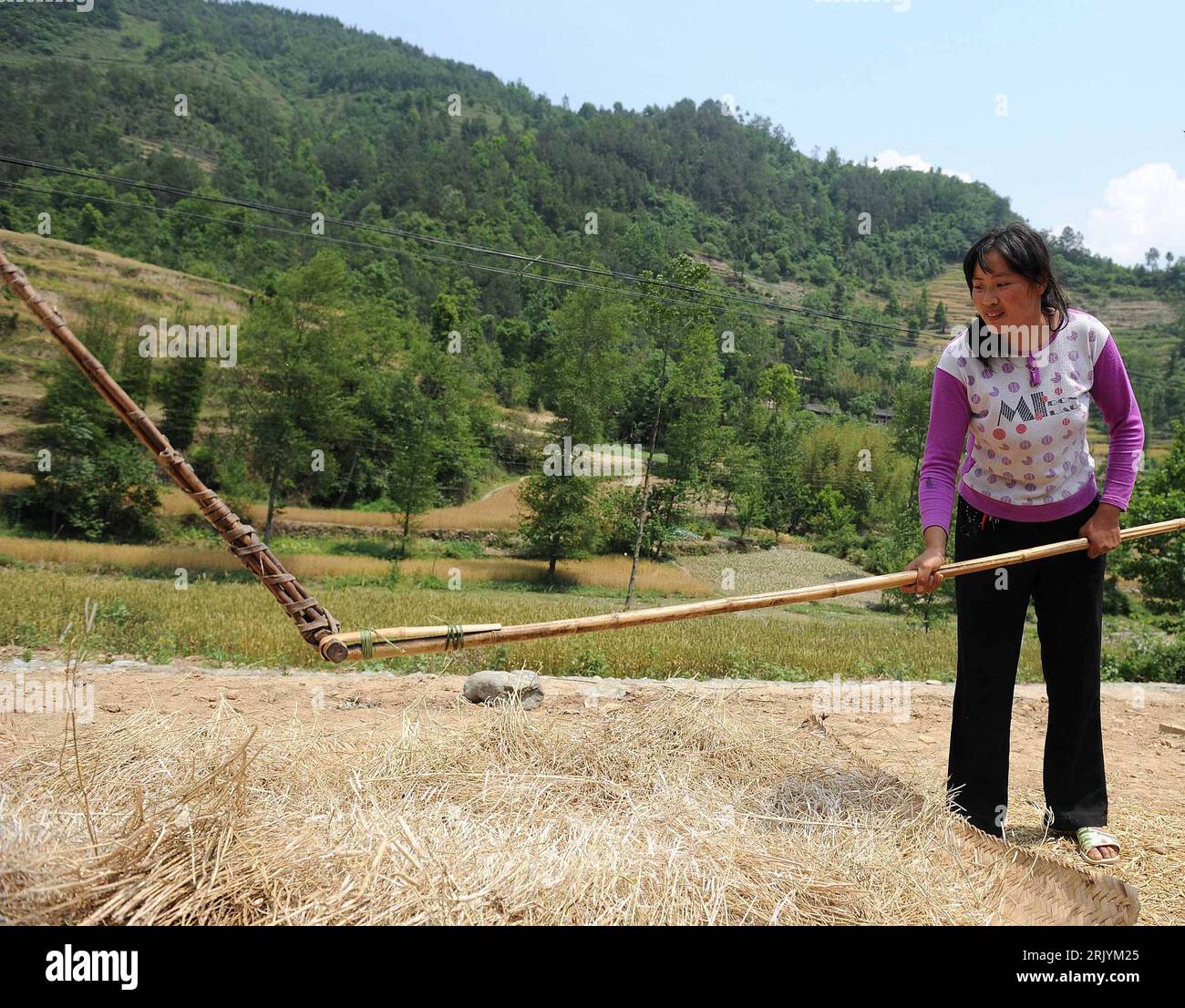 Threshing flail hi-res stock photography and images - Alamy