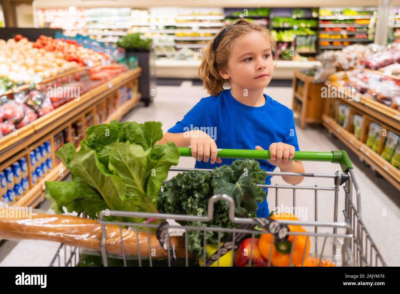 Kid with shopping cart at grocery store. Kid on shopping in supermarket ...