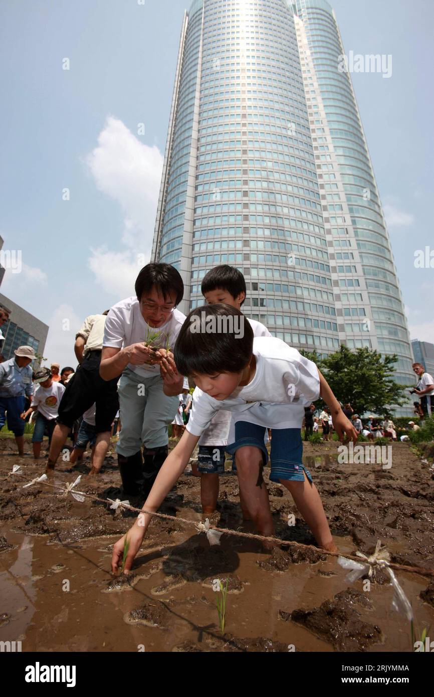 Kinder pflanzen setzlinge hi-res stock photography and images - Alamy