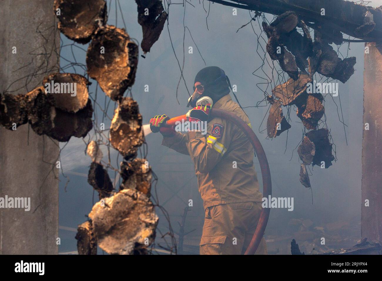 Parnitha park athens hi-res stock photography and images - Alamy