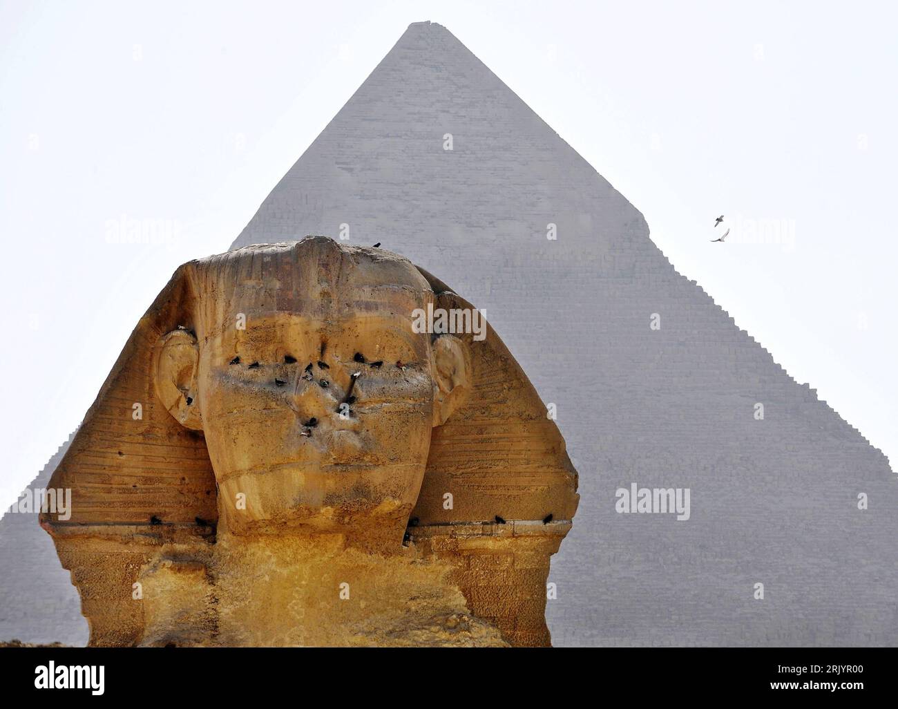 Vögel skulpturen hi-res stock photography and images - Alamy