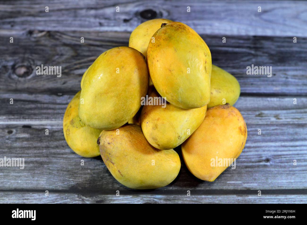 Pile of Egyptian fresh mango fruit with tropical delicacy, mangoes are ...
