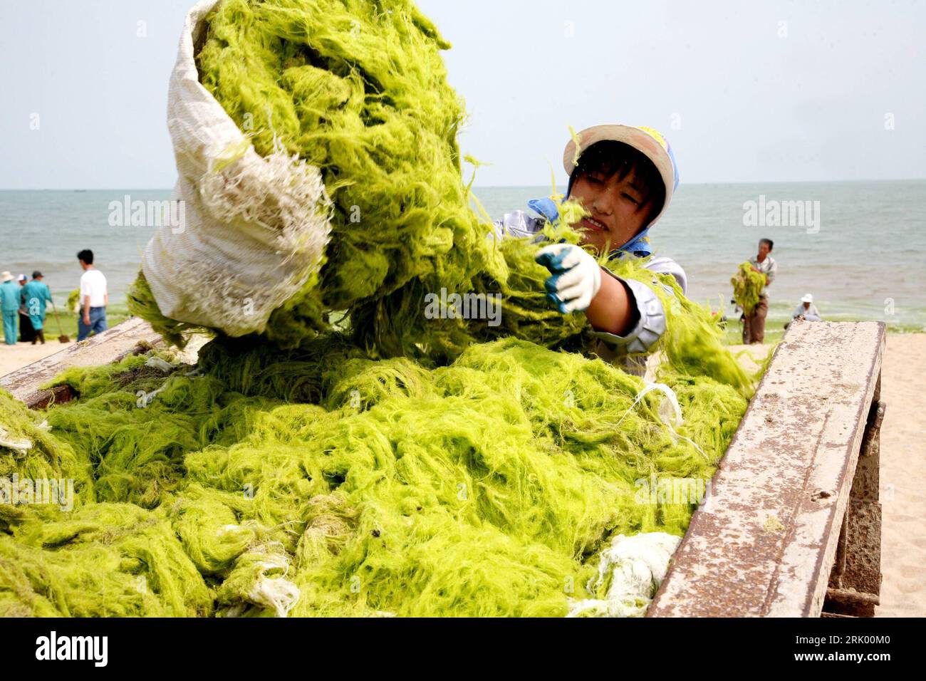 Sea cleaning hi-res stock photography and images - Alamy