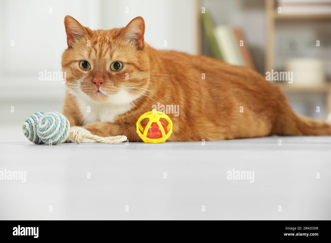 Ginger toys hi-res stock photography and images - Alamy