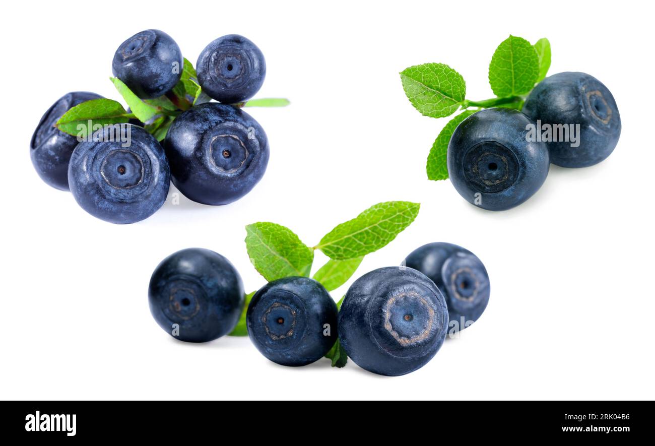 Set with tasty fresh bilberries and green leaves isolated on white ...