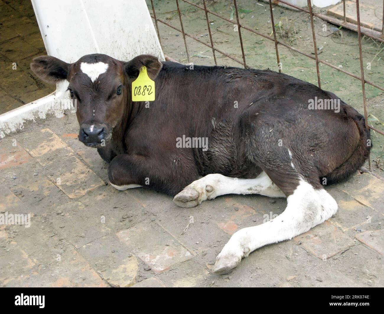 China produzieren hi-res stock photography and images - Alamy