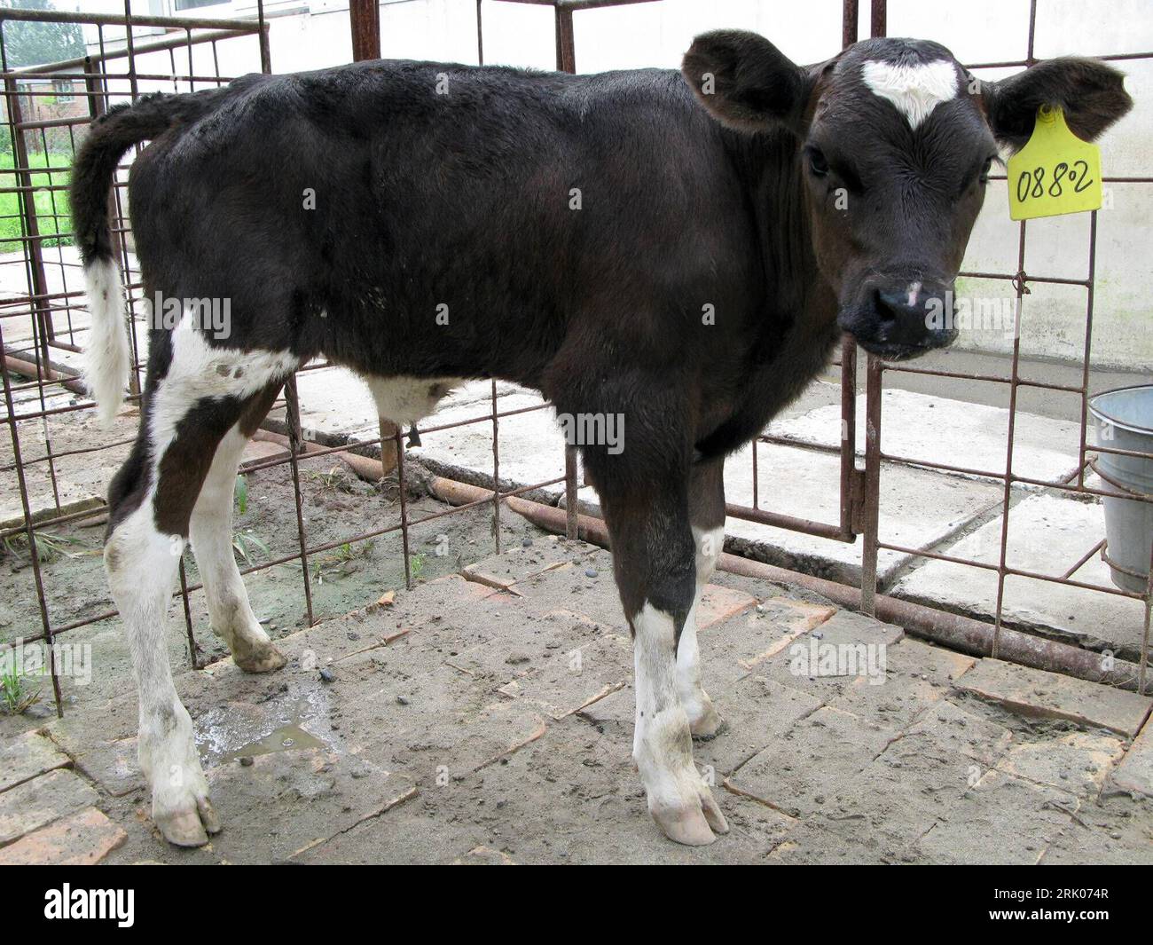 China produzieren hi-res stock photography and images - Alamy