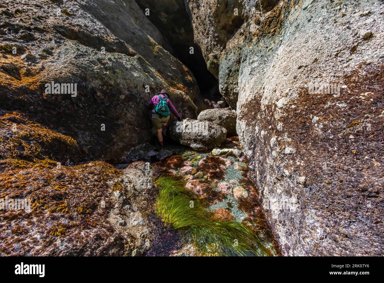 Exploring the breccia rock formations of Point of Arches at low tide ...