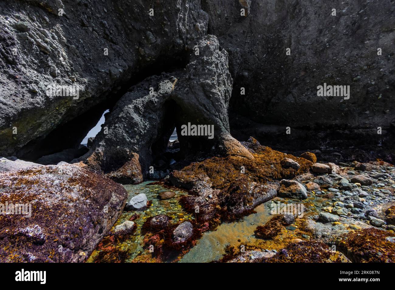 Exploring the tidepools and wave-eroded breccia rock formations of ...