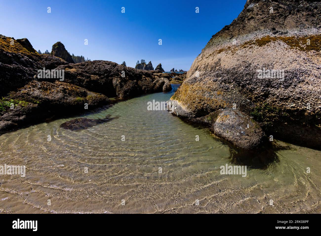 Exploring the tidepools and wave-eroded breccia rock formations of ...