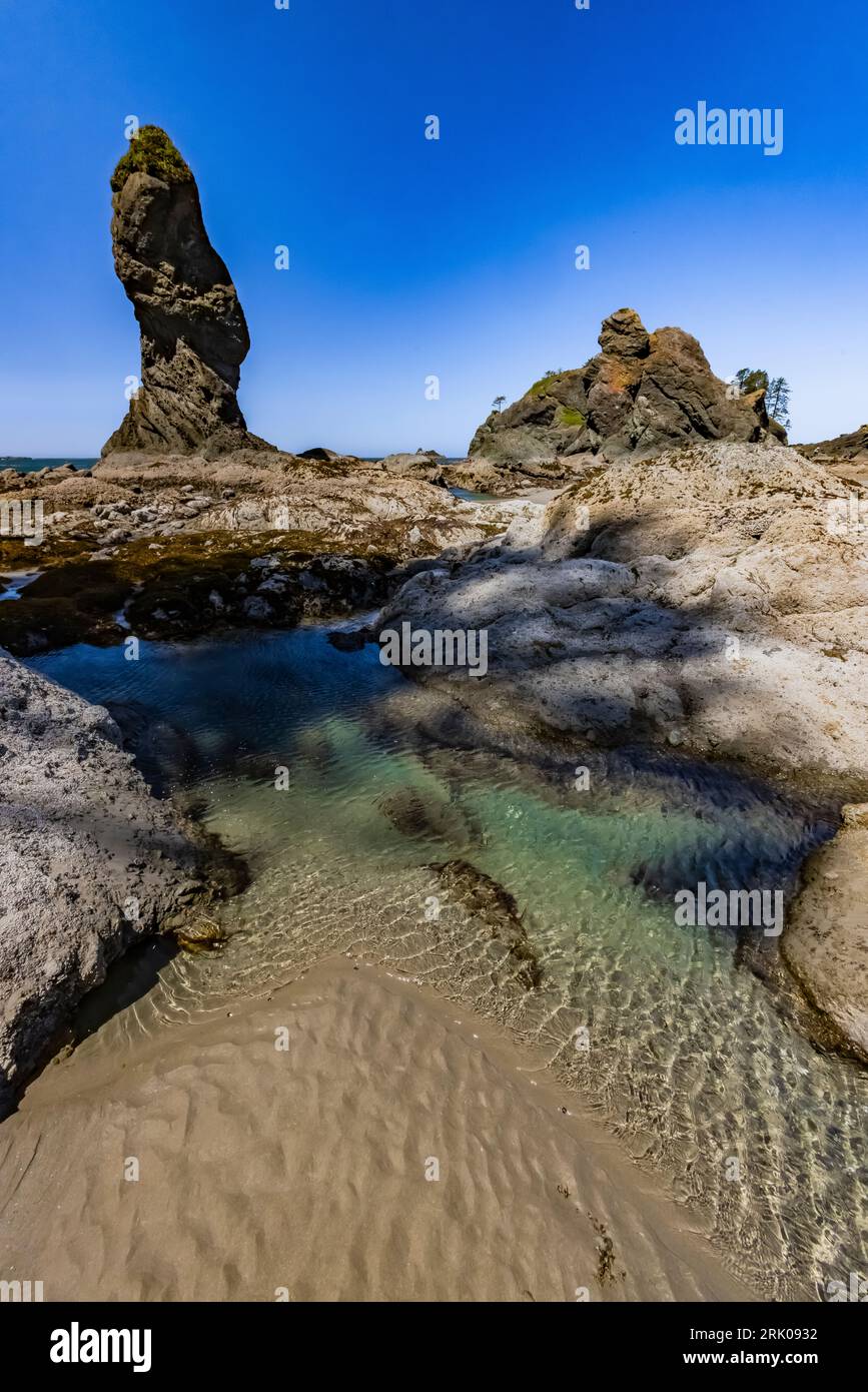 Exploring the tidepools and wave-eroded breccia rock formations of ...
