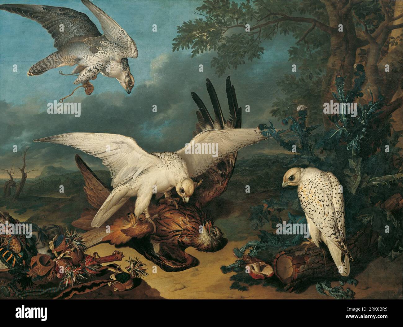 Bird of prey defeated by Iceland hawks circa 1745 by Philipp Ferdinand ...