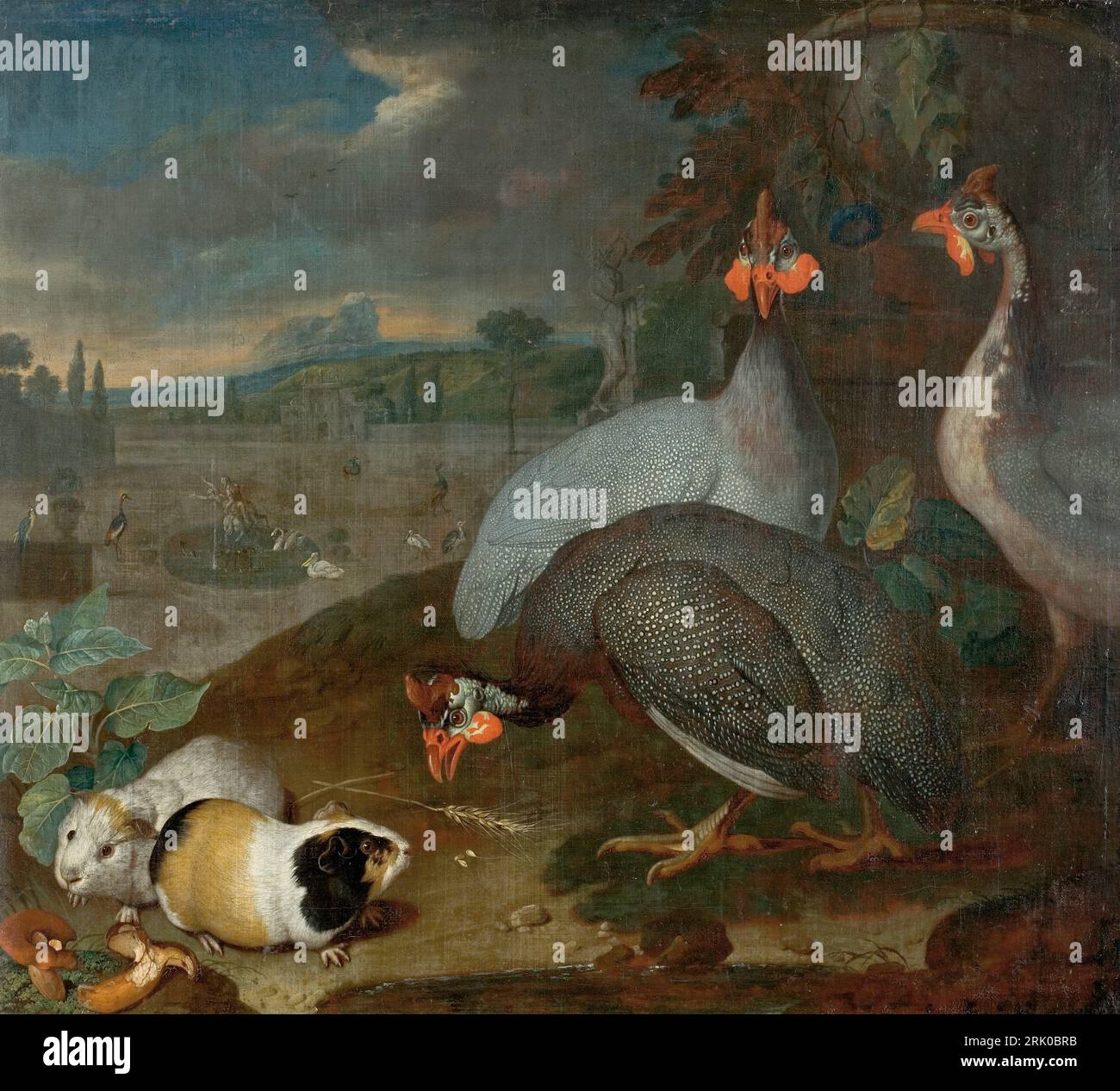 Guinea fowls with guinea pigs circa 1725 by Philipp Ferdinand de ...