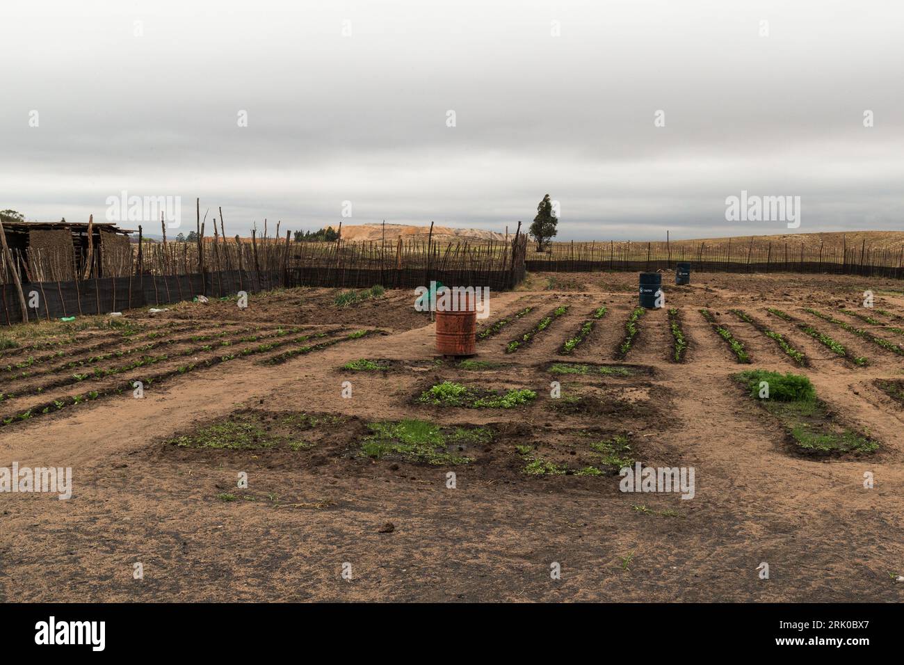 Witbank south africa hi-res stock photography and images - Alamy