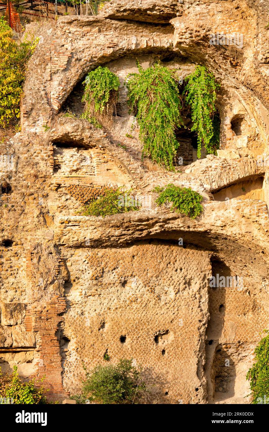 Ruins of the Domus Augusti on the Palatine Hill, Rome, Italy Stock ...