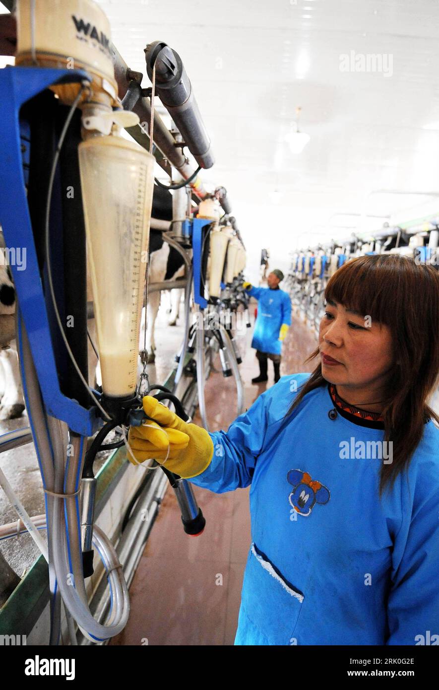 Molkerei frau hi-res stock photography and images - Alamy