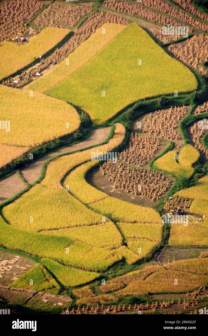 Reisanbau in asien hi-res stock photography and images - Alamy