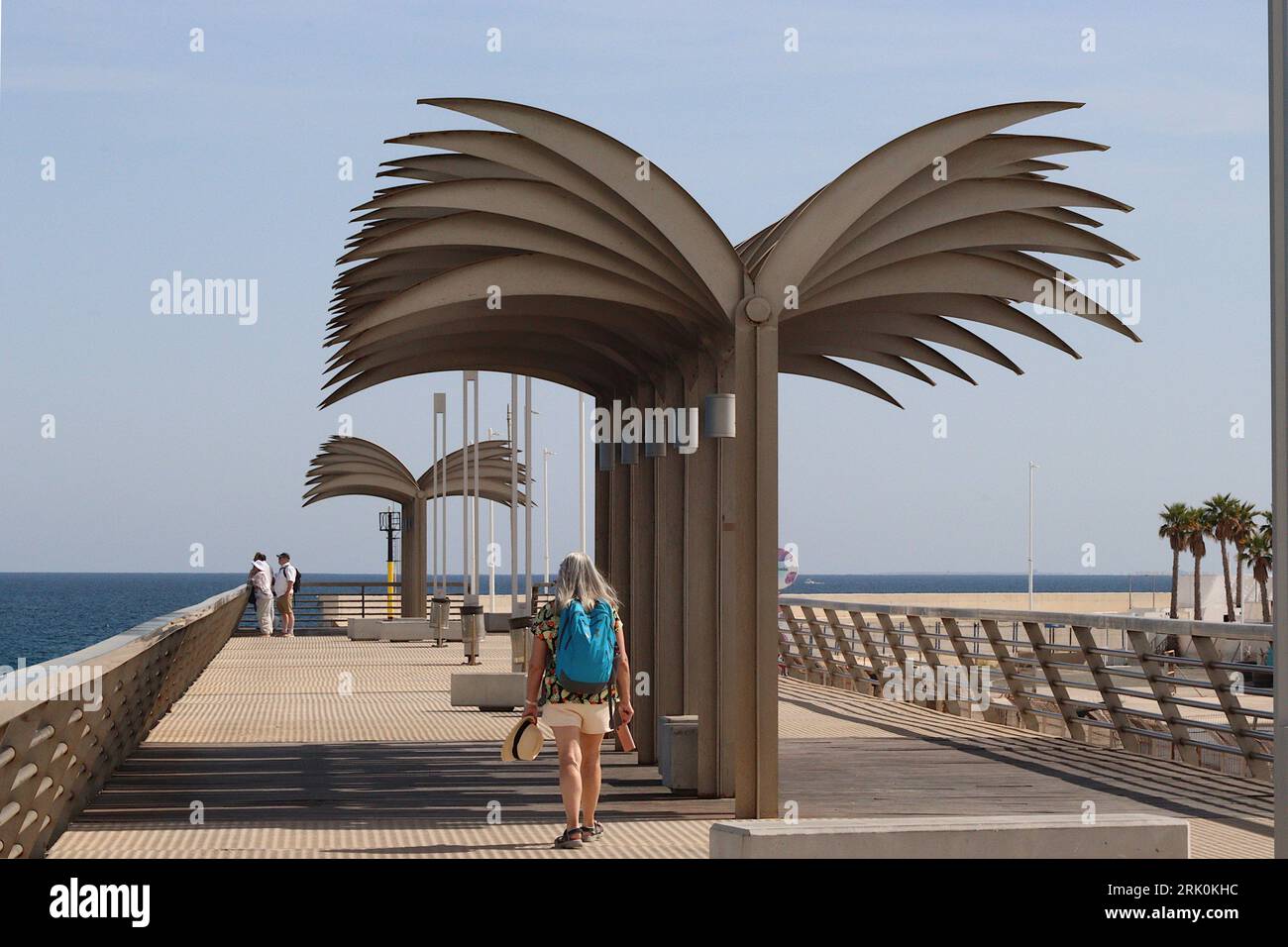 Architectural novelty, stainless steel palm trees decorate the seaward ...