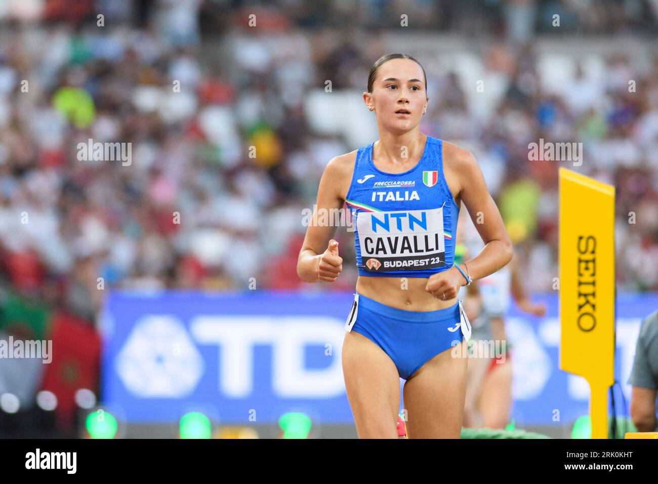 Ludovica cavalli hi-res stock photography and images - Alamy