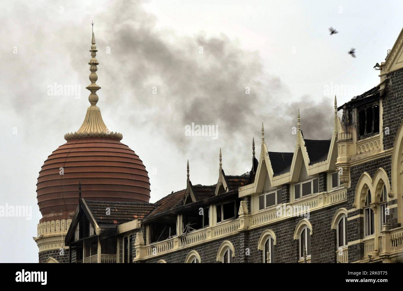 Bildnummer: 52789742 Datum: 28.11.2008 Copyright: imago/Xinhua Rauch ...