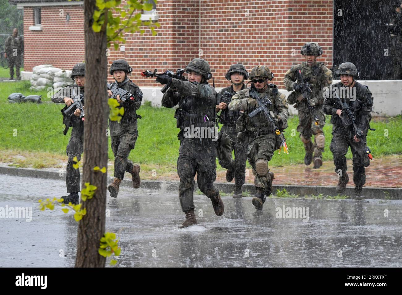 Ulchi freedom shield hi-res stock photography and images - Alamy