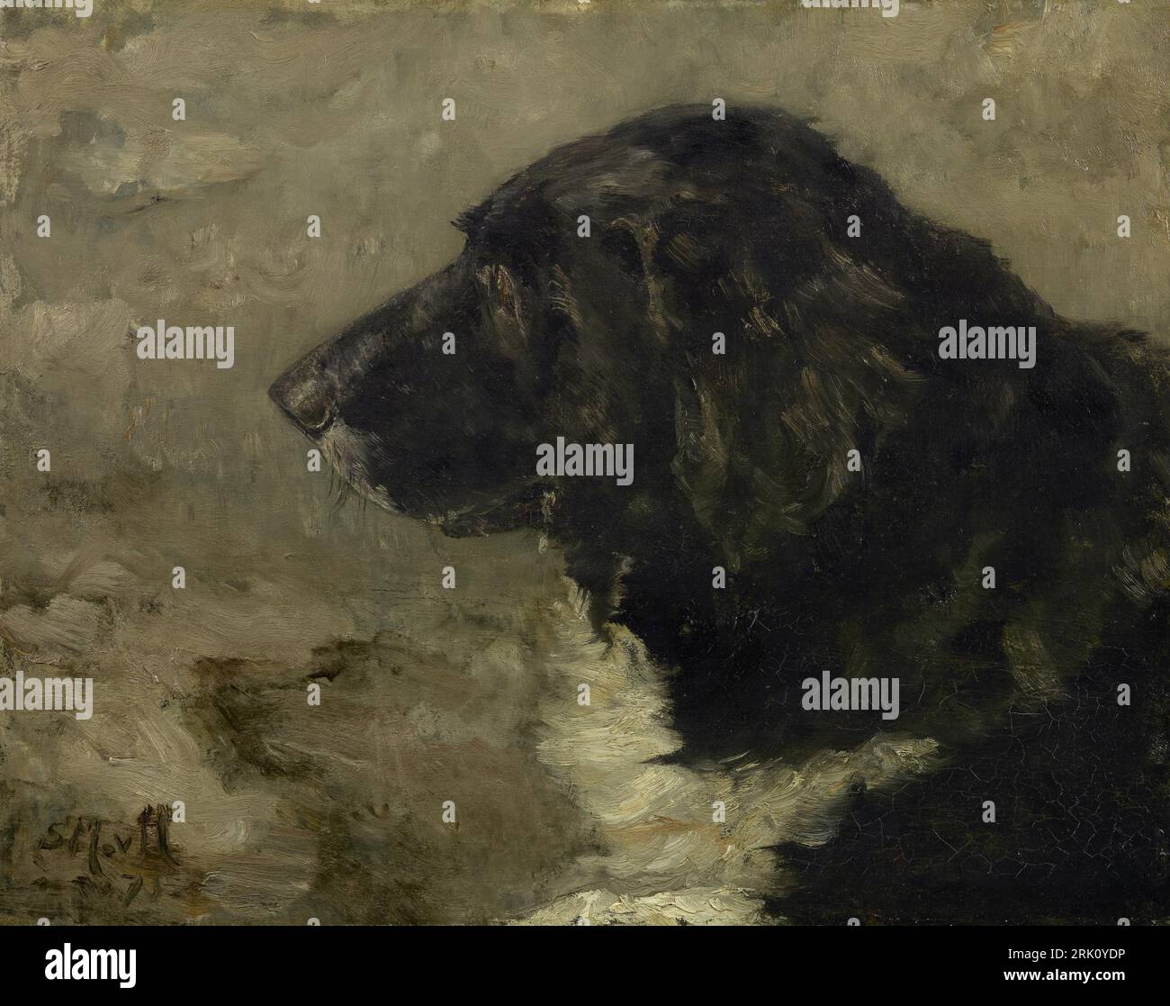 Head of a dog: Nero 1875 by Sina Mesdag-van Houten Stock Photo - Alamy