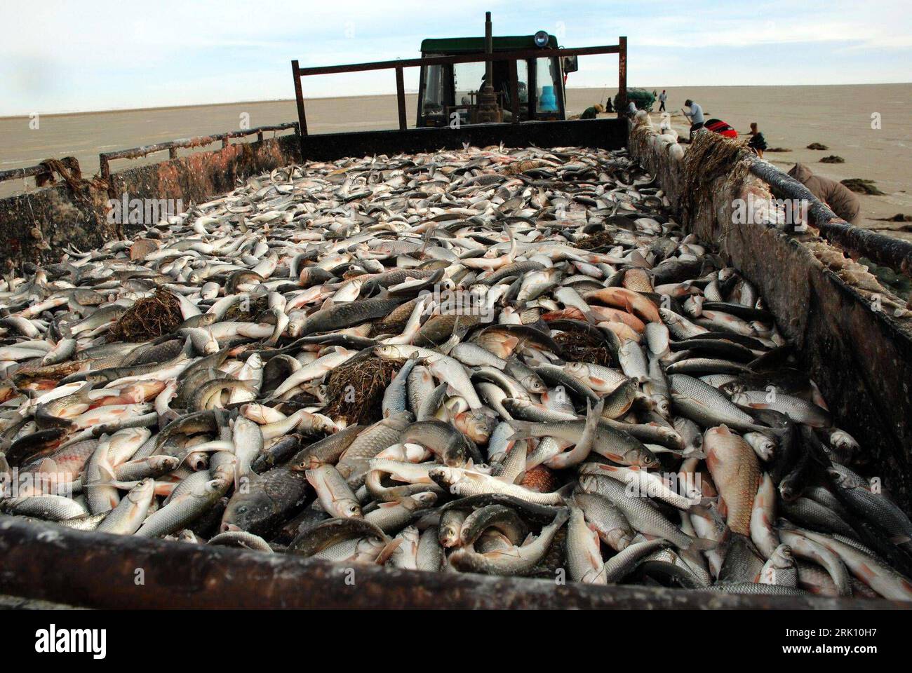 Lkw fisch hi-res stock photography and images - Alamy