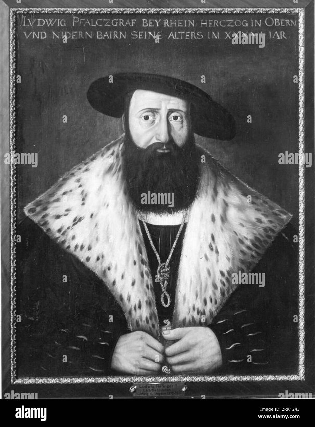Portrait of Louis X of Bavaria 1531 by Peter Gertner Stock Photo - Alamy
