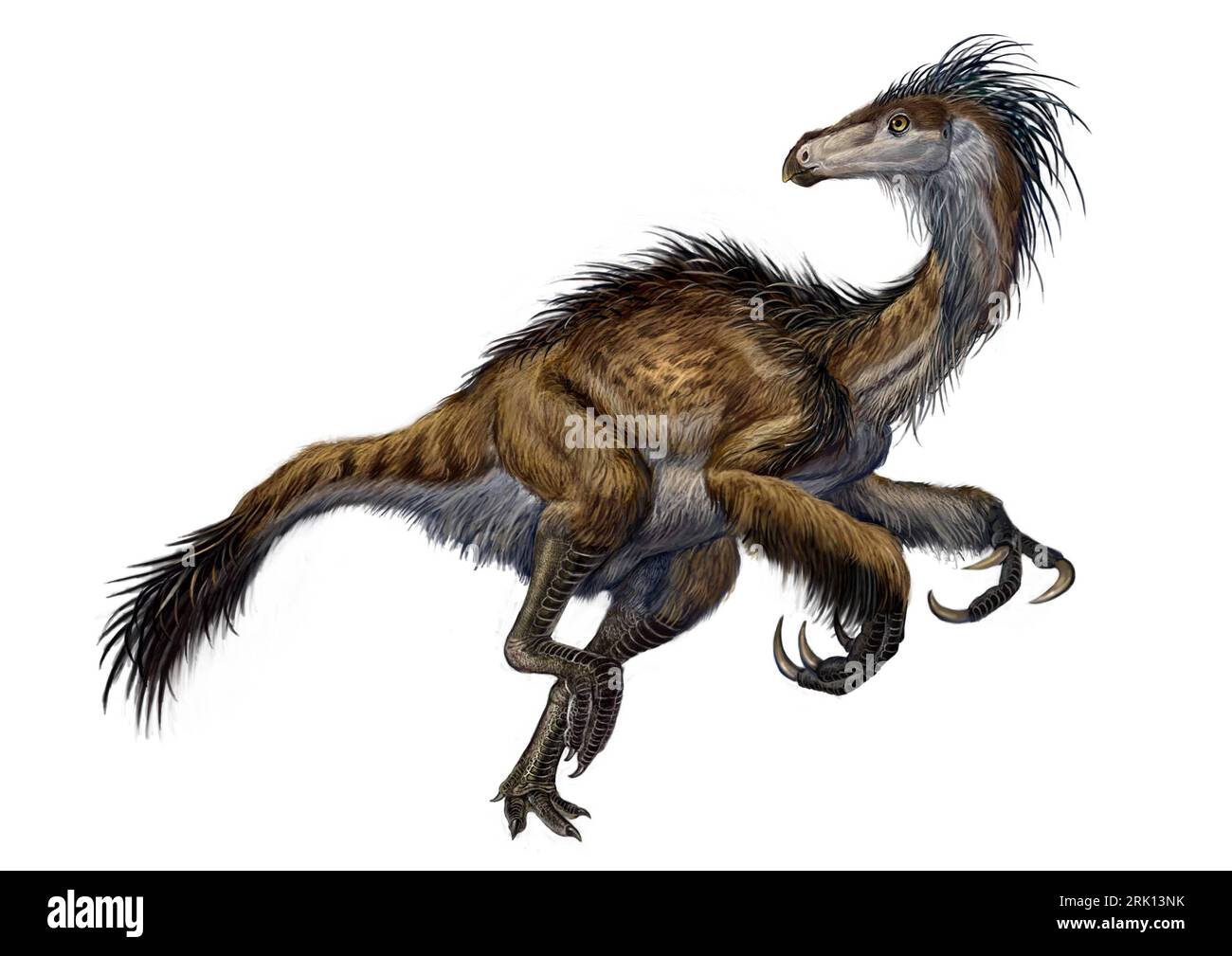 Dinosaurier rekonstruktion hi-res stock photography and images - Alamy