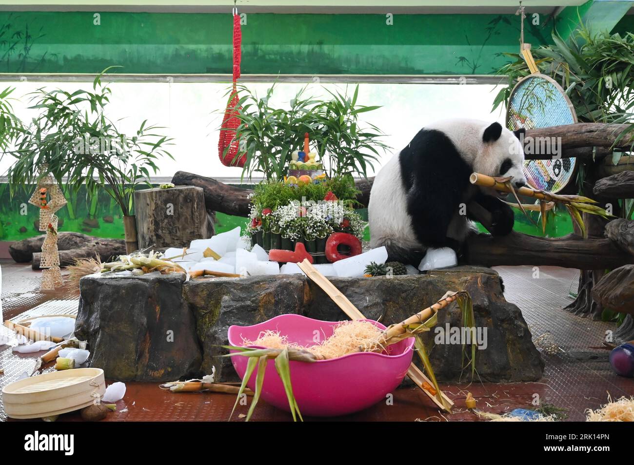 **CHINESE MAINLAND, HONG KONG, MACAU AND TAIWAN OUT** Giant panda Ya Yi ...