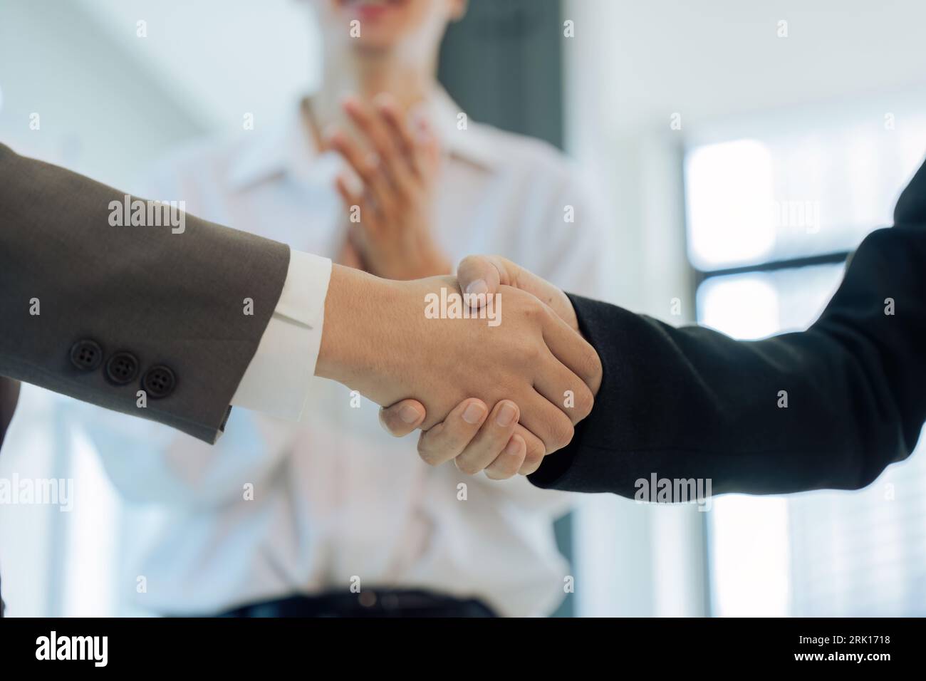 professional successful businesspeople in formal suit standing shaking ...