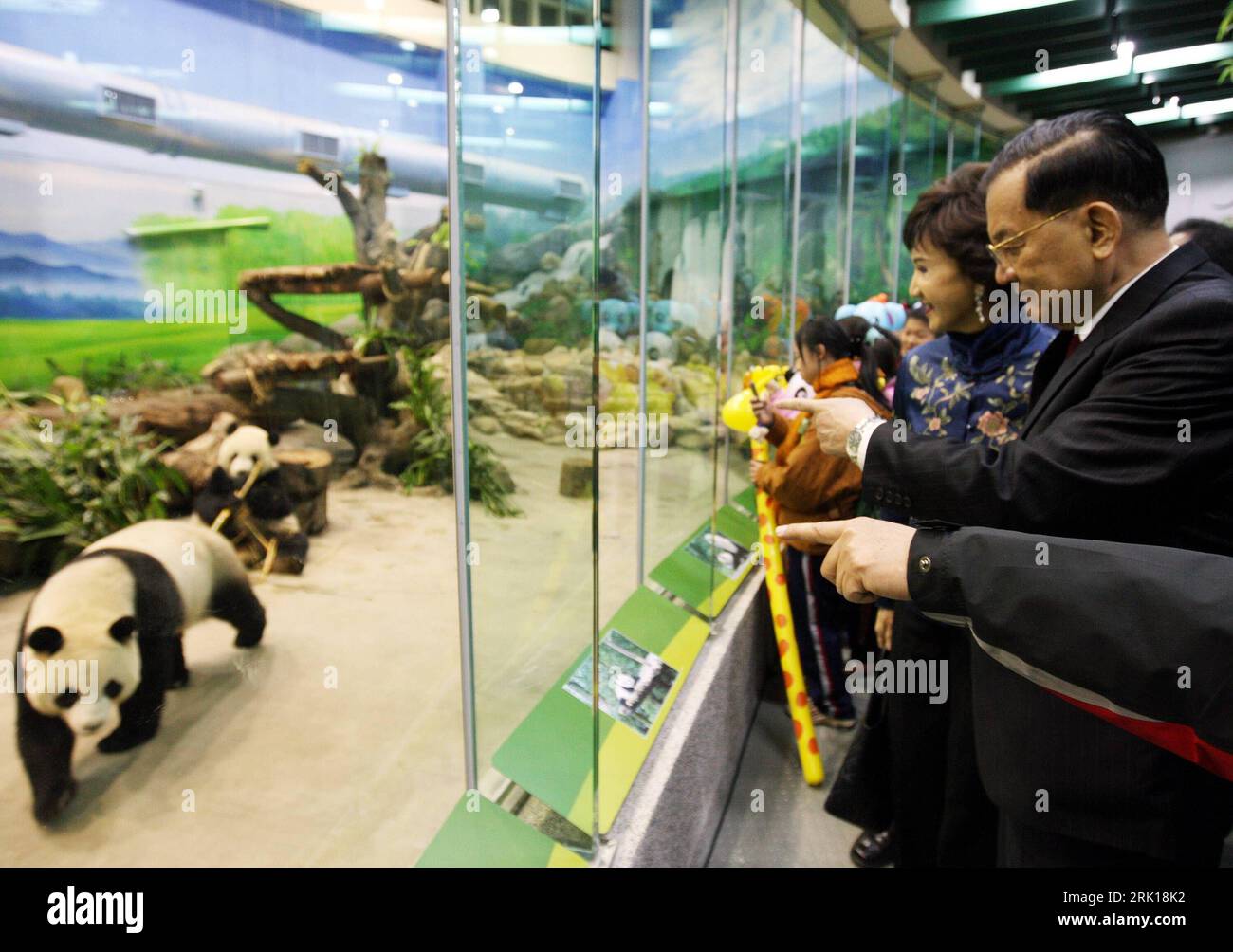 Fam tiere hi-res stock photography and images - Alamy