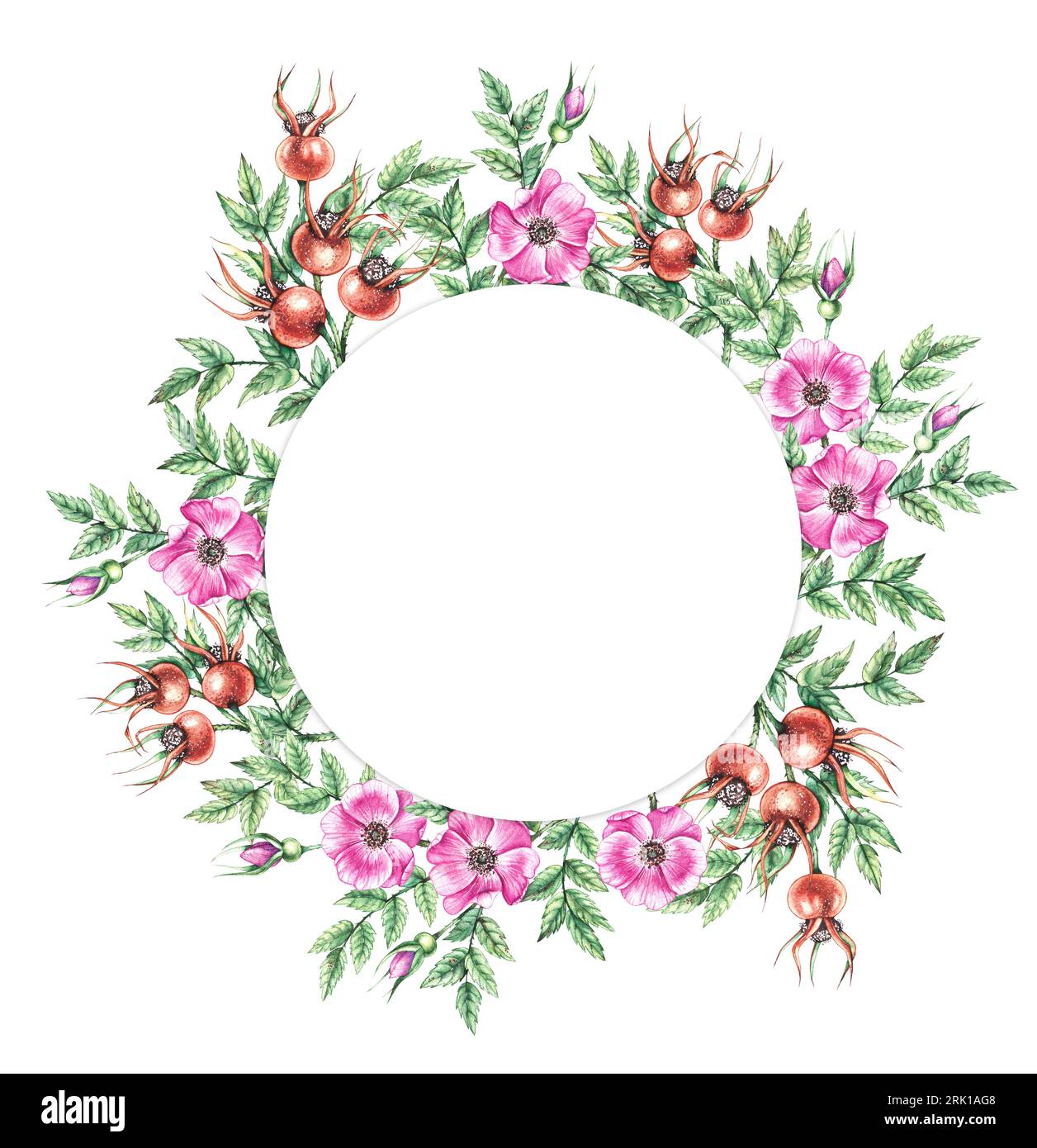 Watercolor rosehip round frame template. Frame with flower branches and ...