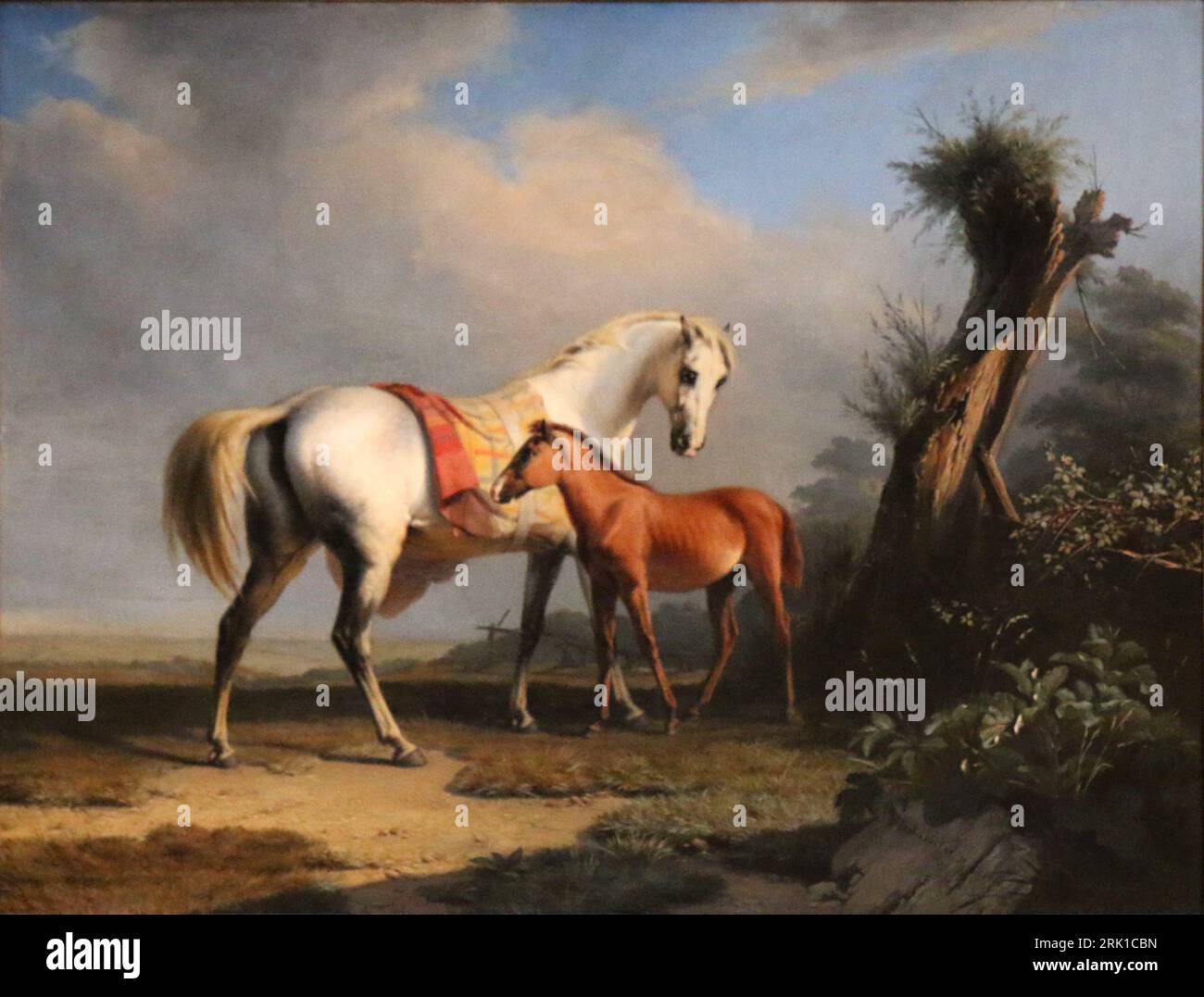 A mare and her foal 1846 by Charles Verlat Stock Photo - Alamy