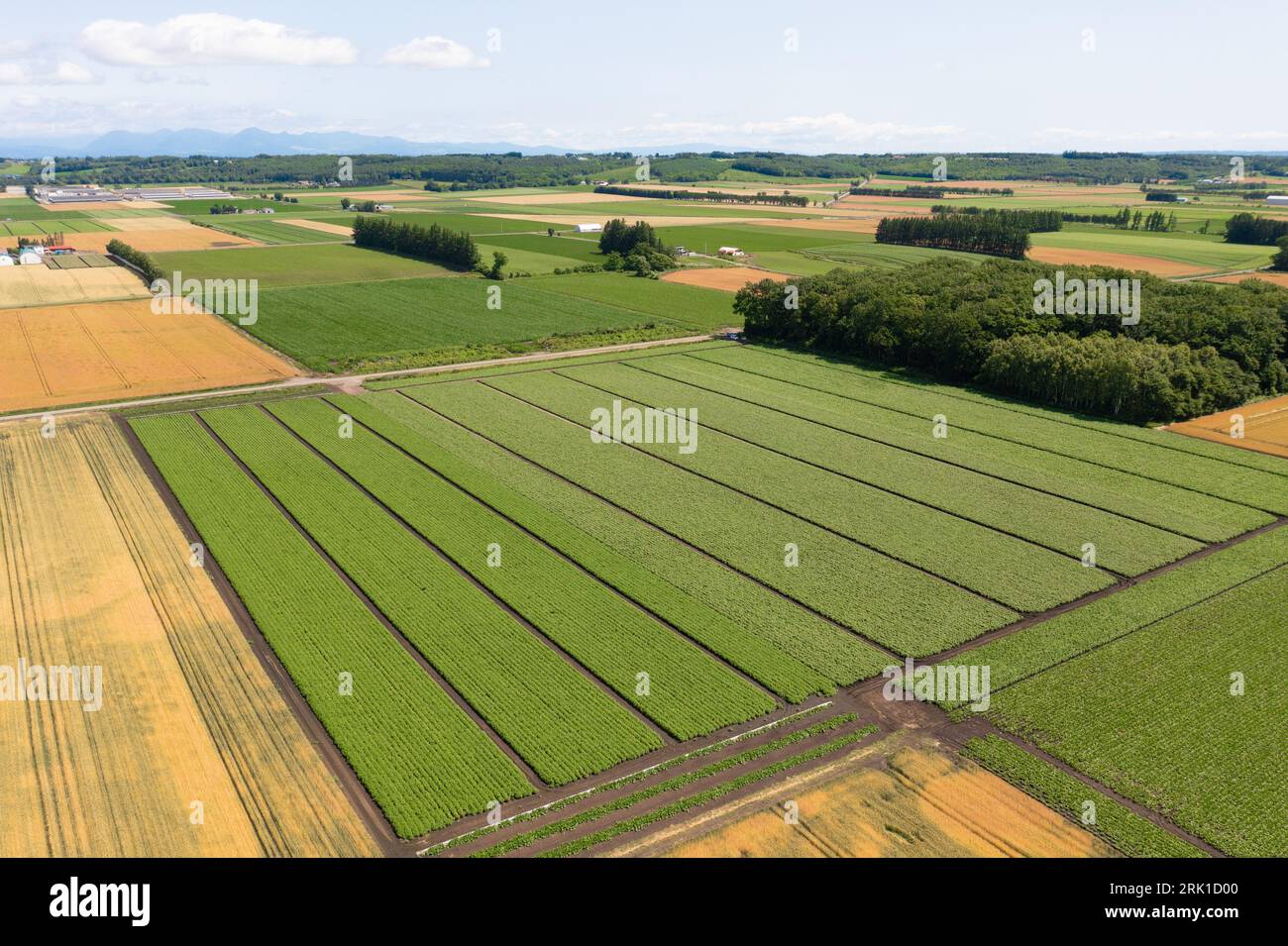 Aerial View of Tokachi Plain, Hokkaido, Japan Stock Photo - Alamy