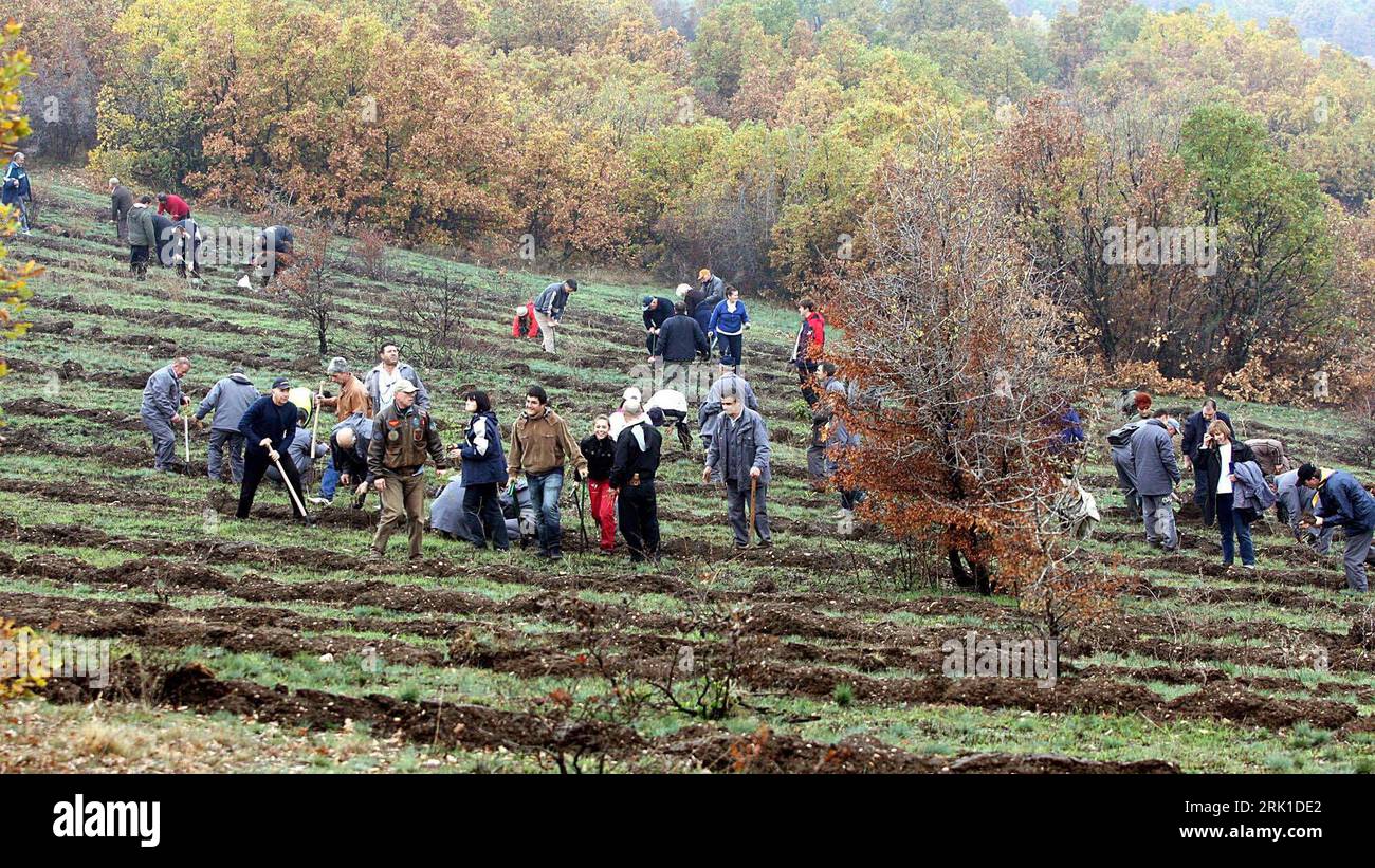 Rahmen baum hi-res stock photography and images - Alamy