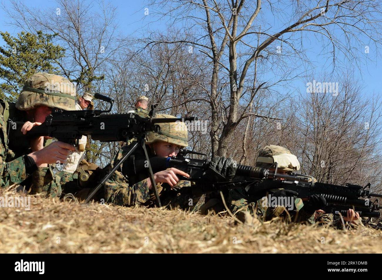 The basic school tbs hi-res stock photography and images - Alamy