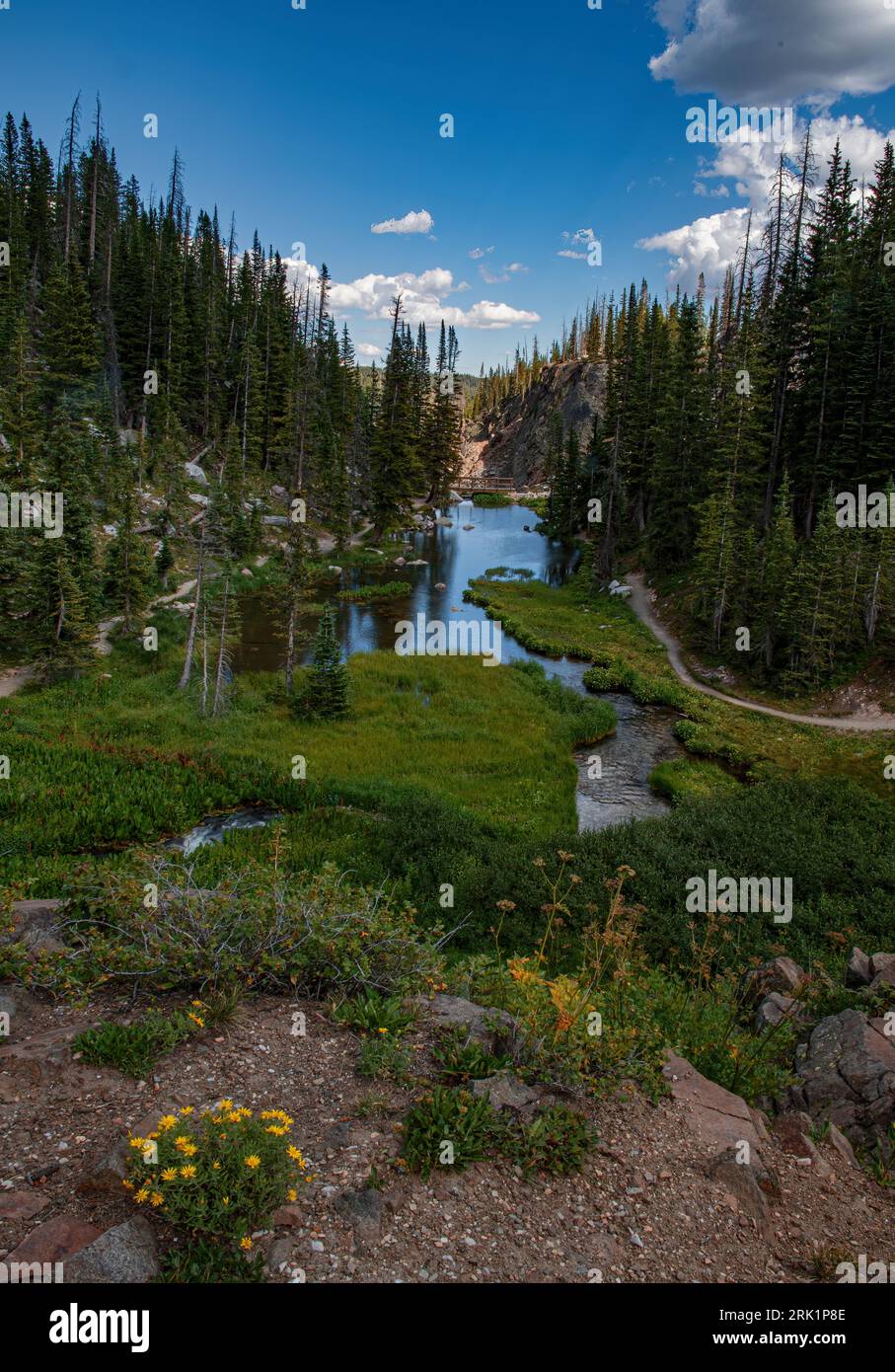 A fisherman casts into a pool on South French Creek below Lake Marie ...