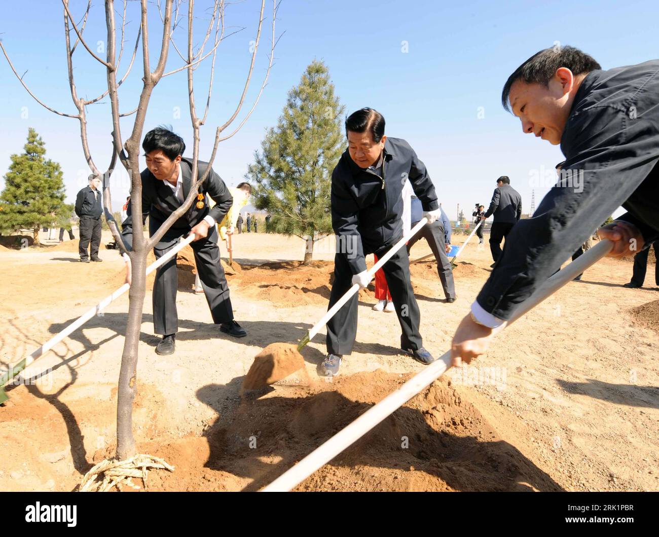 Vorsitzender baum hi-res stock photography and images - Alamy