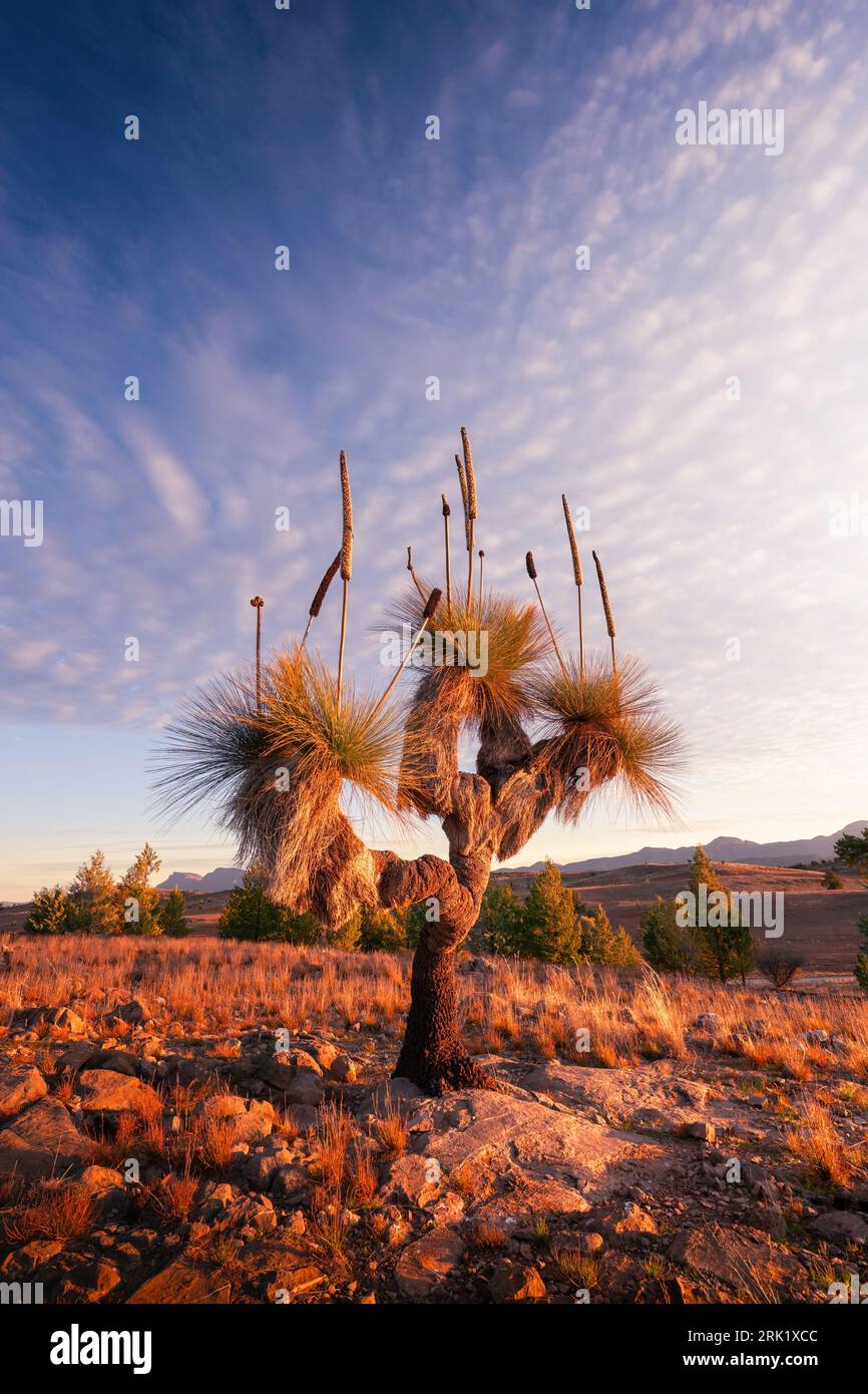 Flinders ranges sunset hi-res stock photography and images - Alamy