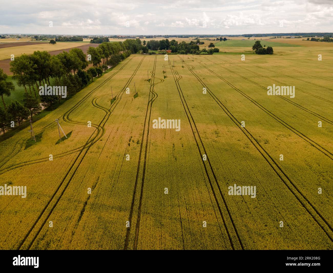 An aerial view of a picturesque farm landscape featuring a cornfield ...
