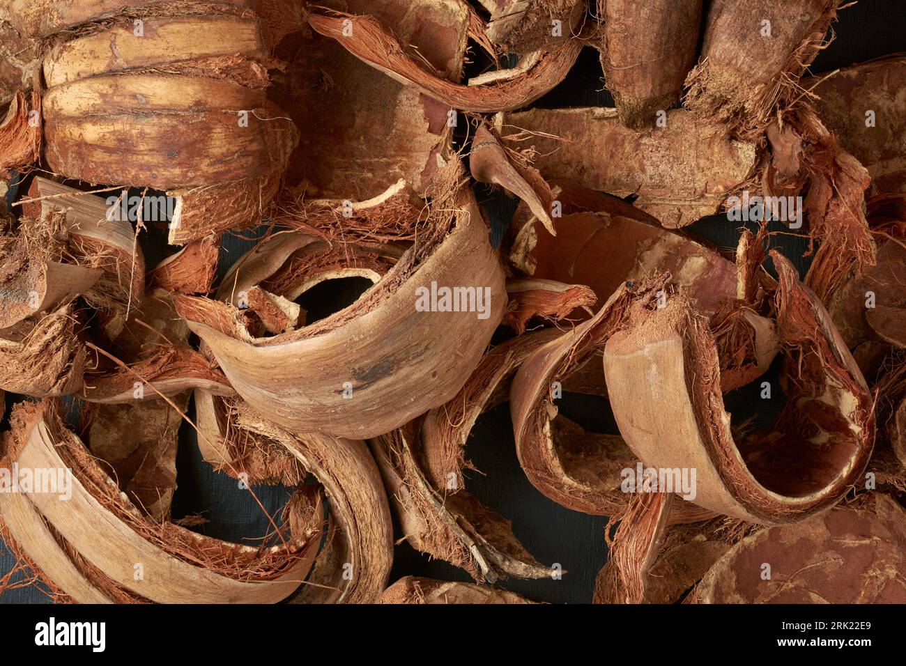 close-up of dried coconut husk or coir, commercially important natural ...