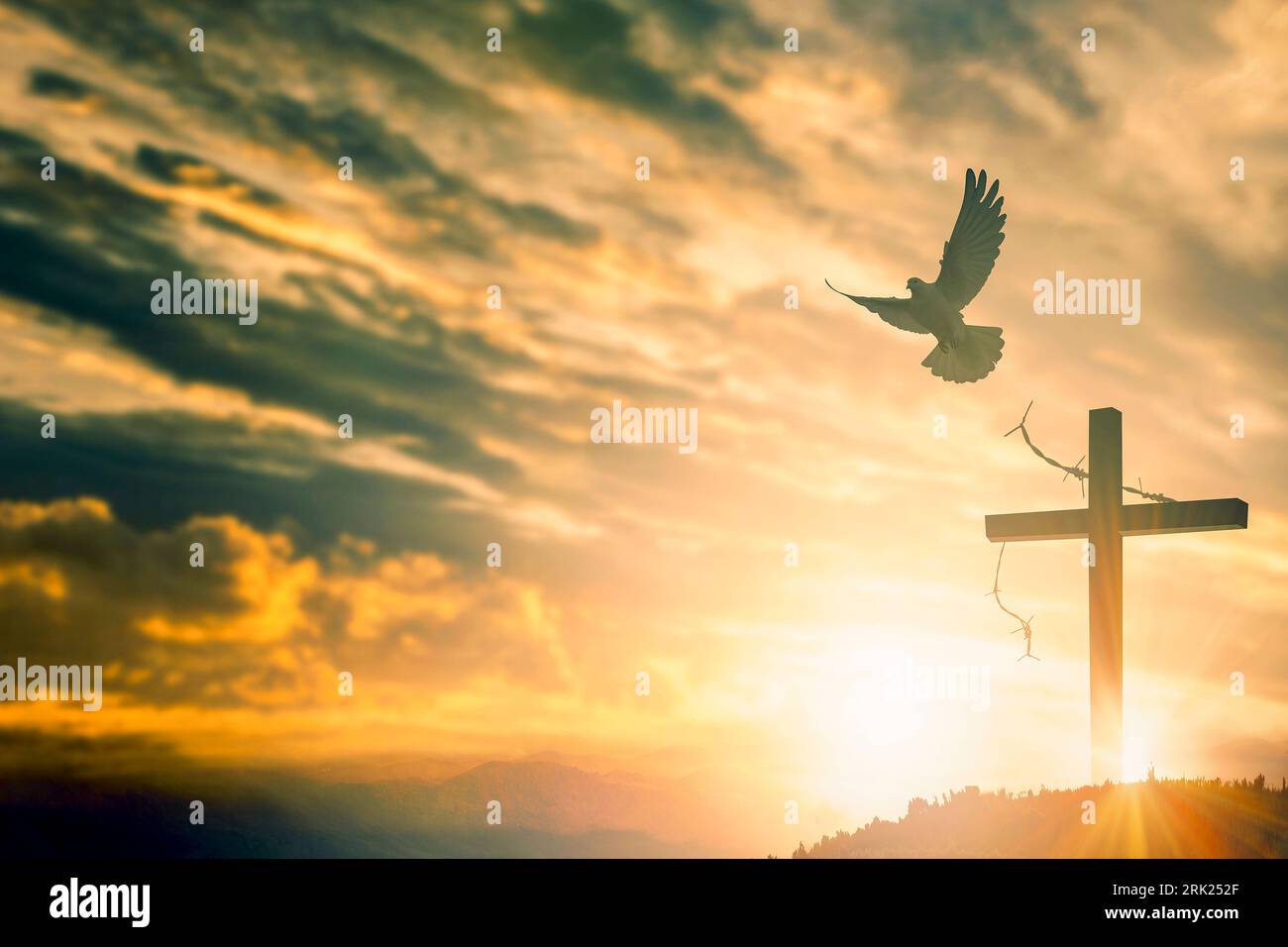 Praise The Lord Background