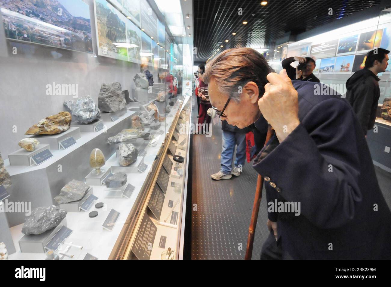 Dinosaurs fossils hi-res stock photography and images - Alamy