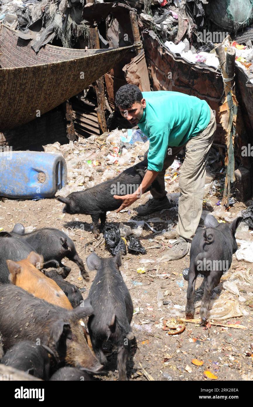 Pigs farm 2009 hi-res stock photography and images - Alamy