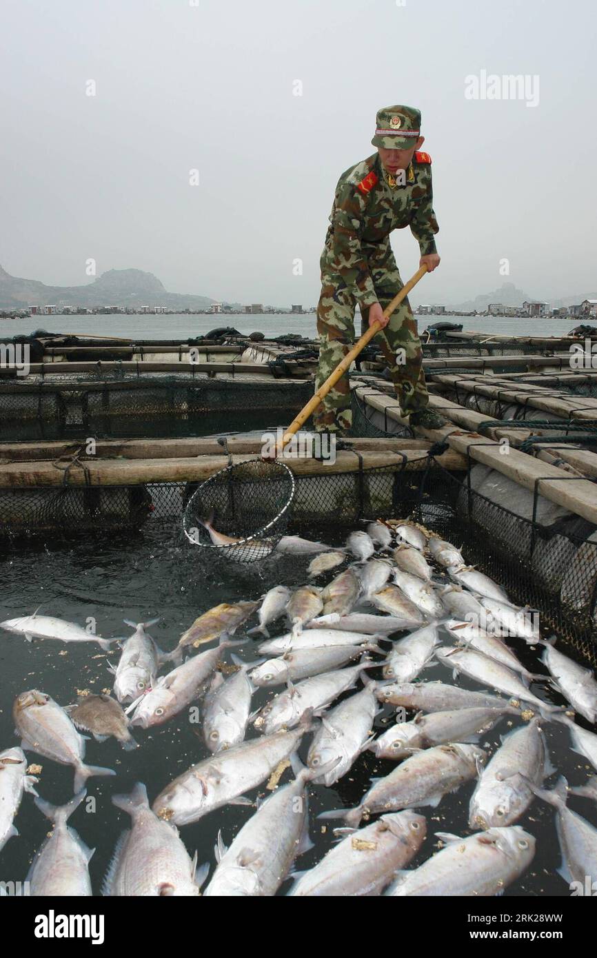 Red tide dead fish hi-res stock photography and images - Alamy