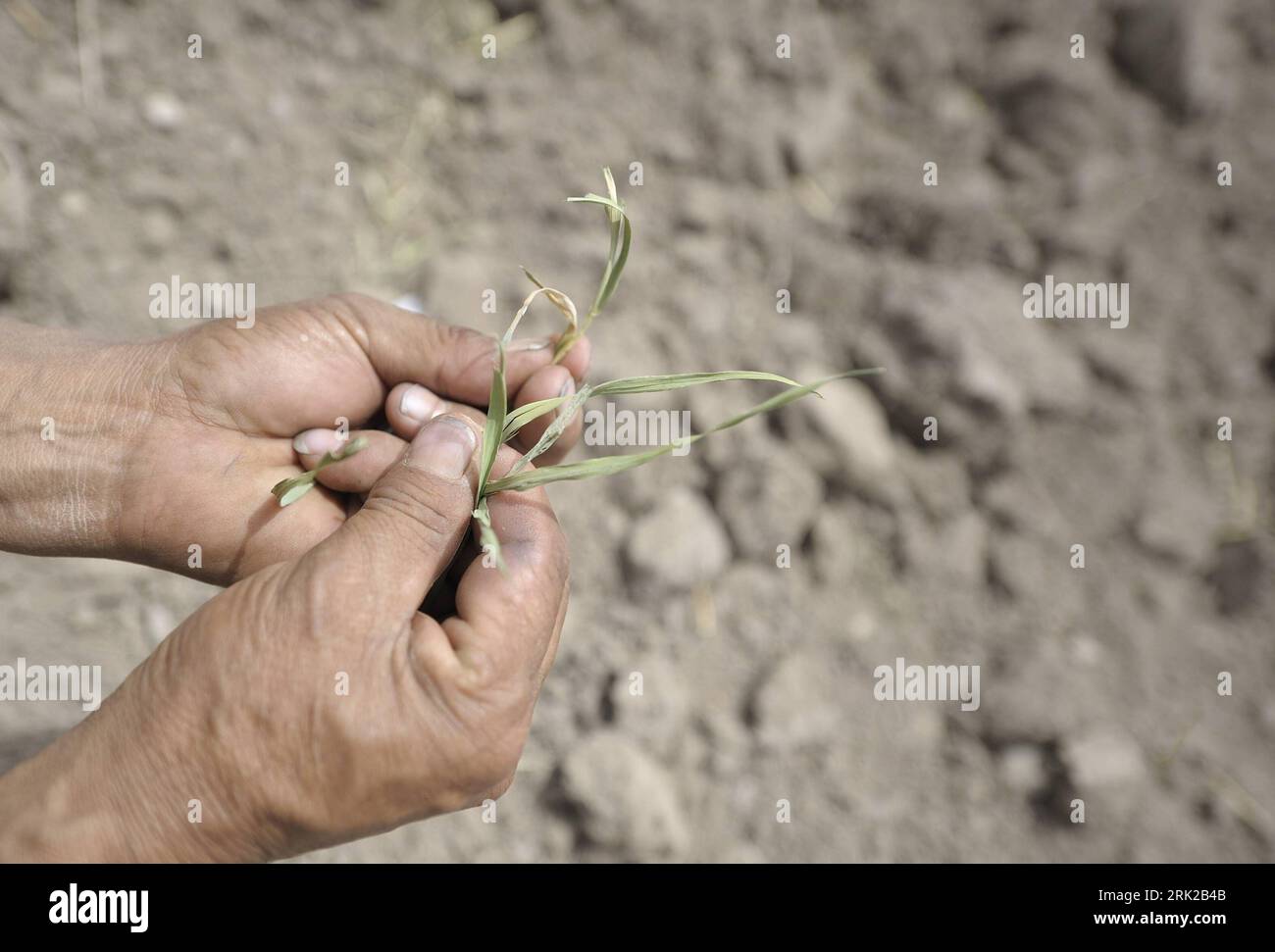 Bildnummer: 53155508 Datum: 15.06.2009 Copyright: imago/Xinhua A ...