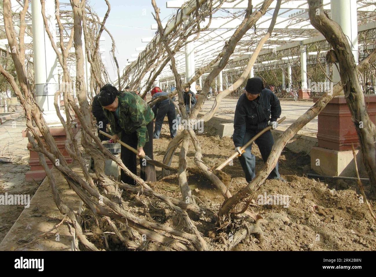 Weinanbau china hi-res stock photography and images - Alamy
